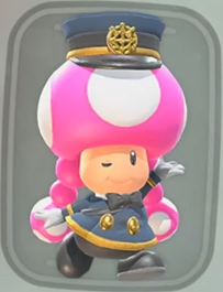 File:MKWorld Toadette Costume 2.png - Super Mario Wiki, the Mario encyclopedia