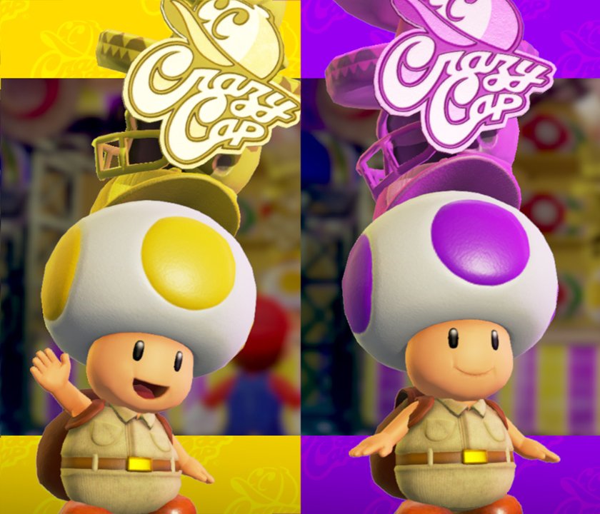 File:Toad Crazy Cap.jpg - Super Mario Wiki, the Mario encyclopedia