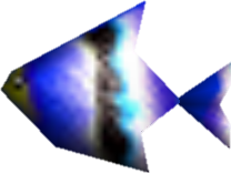 File:SM64 Asset Model Fish (Blue).png - Super Mario Wiki, the Mario ...