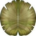 File:SMS Asset Sprite Lily Pad (Sick).png - Super Mario Wiki, the Mario ...