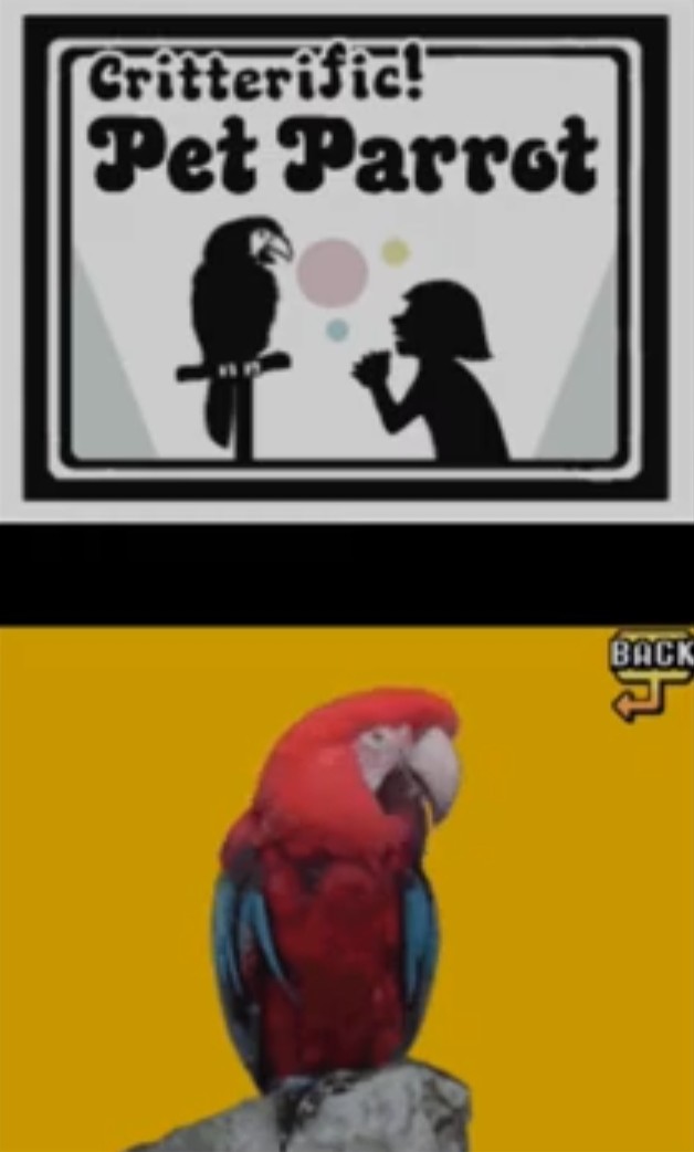 File:WWT! Pet Parrot.jpg - Super Mario Wiki, the Mario encyclopedia