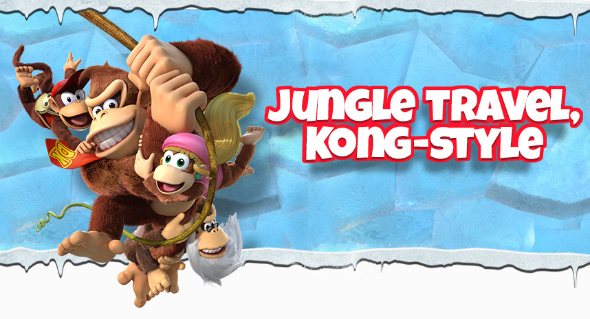 File:PN DKCTF tips banner.png - Super Mario Wiki, the Mario encyclopedia