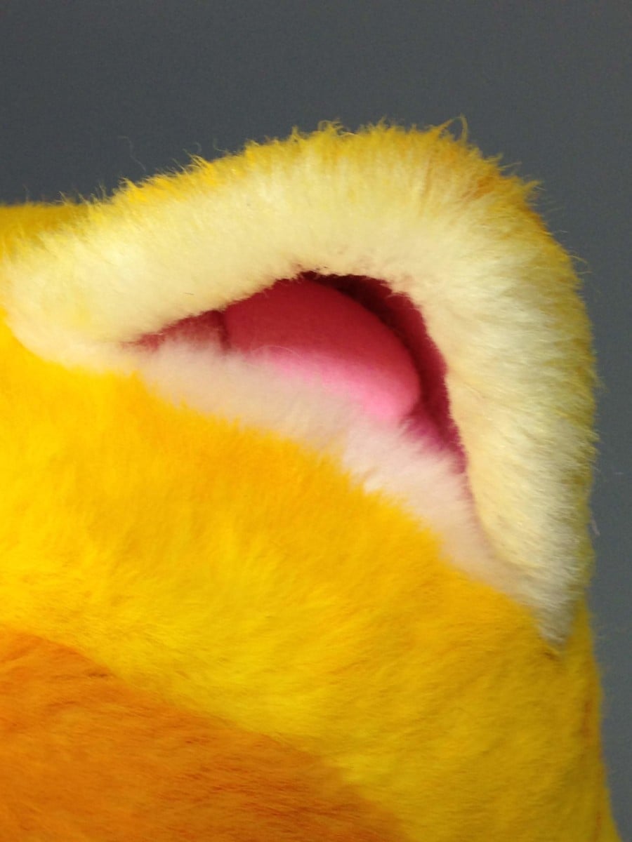 The Cat Mario Show - Super Mario Wiki, the Mario encyclopedia