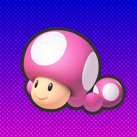 File:MK8 Characters Poll 8.jpg - Super Mario Wiki, the Mario encyclopedia