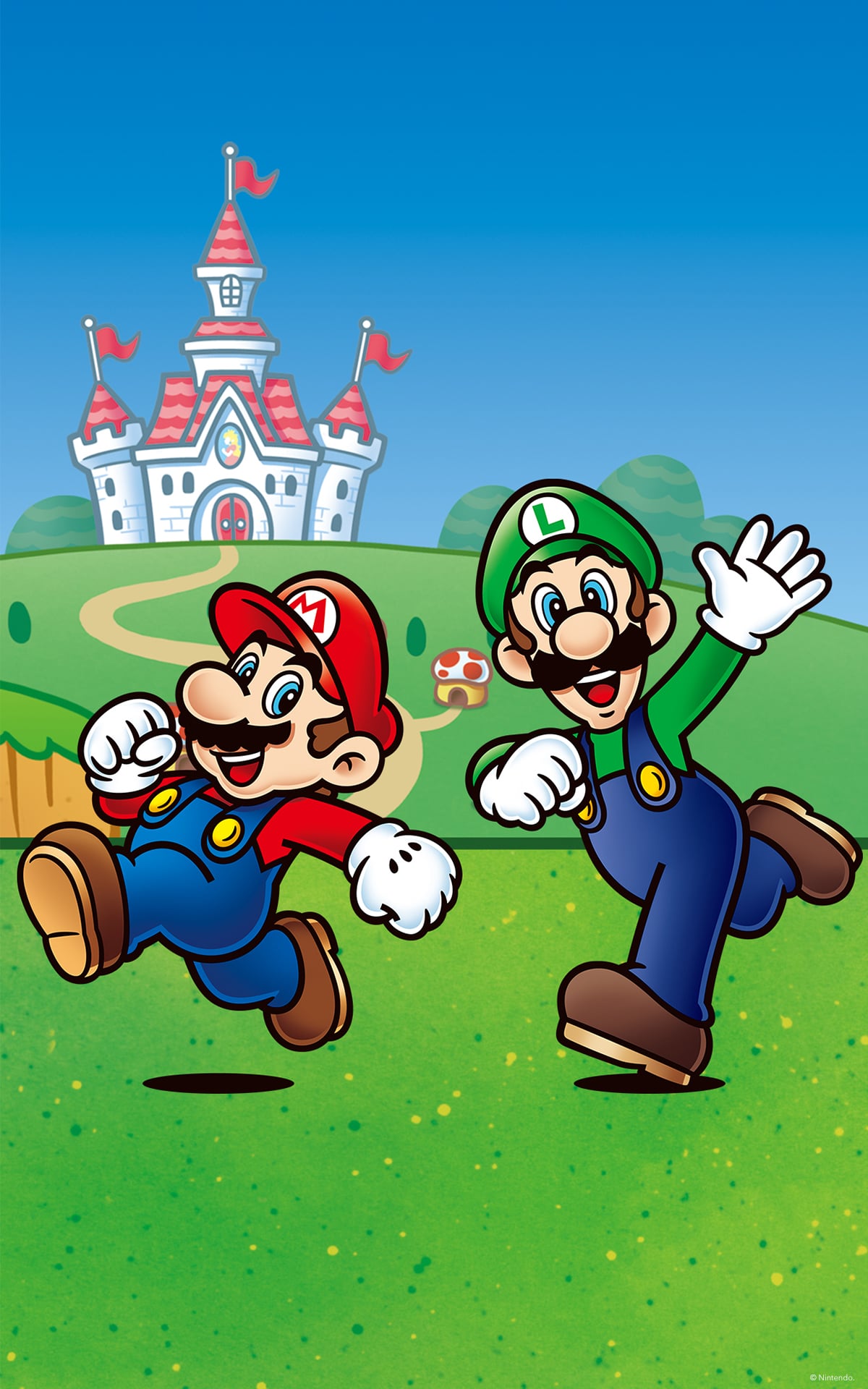 File:My Nintendo Mario and Luigi wallpaper tablet.jpg - Super Mario ...