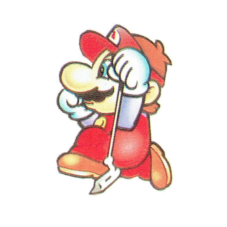 File:JapanCourse11.jpg - Super Mario Wiki, the Mario encyclopedia