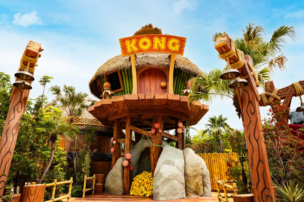 File:SNW DKC Donkey Kong's Tree House.jpg - Super Mario Wiki, the Mario ...