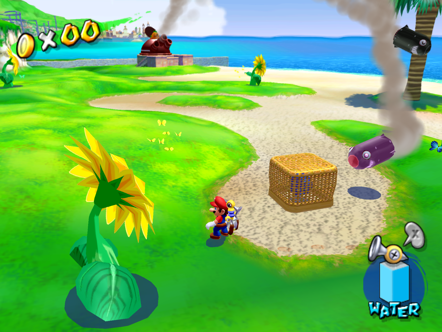 File:SMS Pinna Park Blue Coin 29.png - Super Mario Wiki, the Mario ...