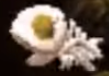 File:YNI Jean de Fillet.png - Super Mario Wiki, the Mario encyclopedia