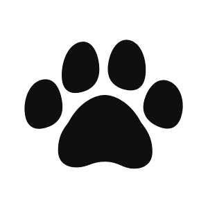 File:Nintendogs Symbol.png - Super Mario Wiki, the Mario encyclopedia