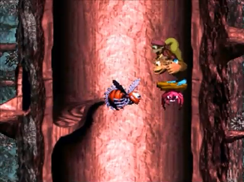 File:Springin Spiders DKC3 shot 3.png - Super Mario Wiki, the Mario ...