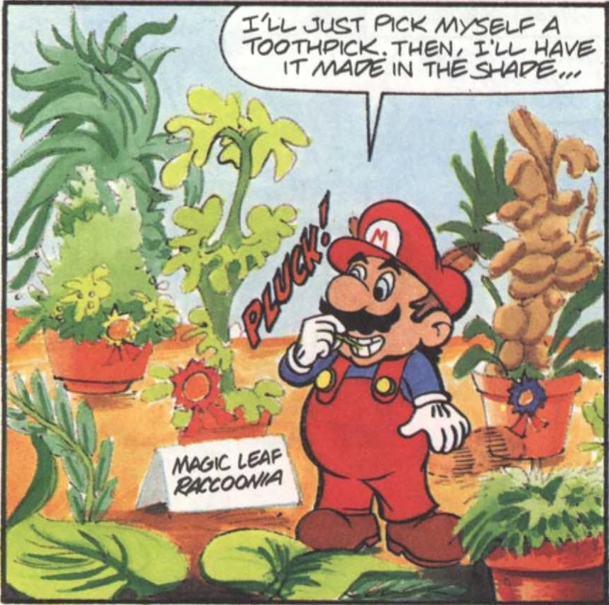 Magic Leaf Raccoonia - Super Mario Wiki, the Mario encyclopedia