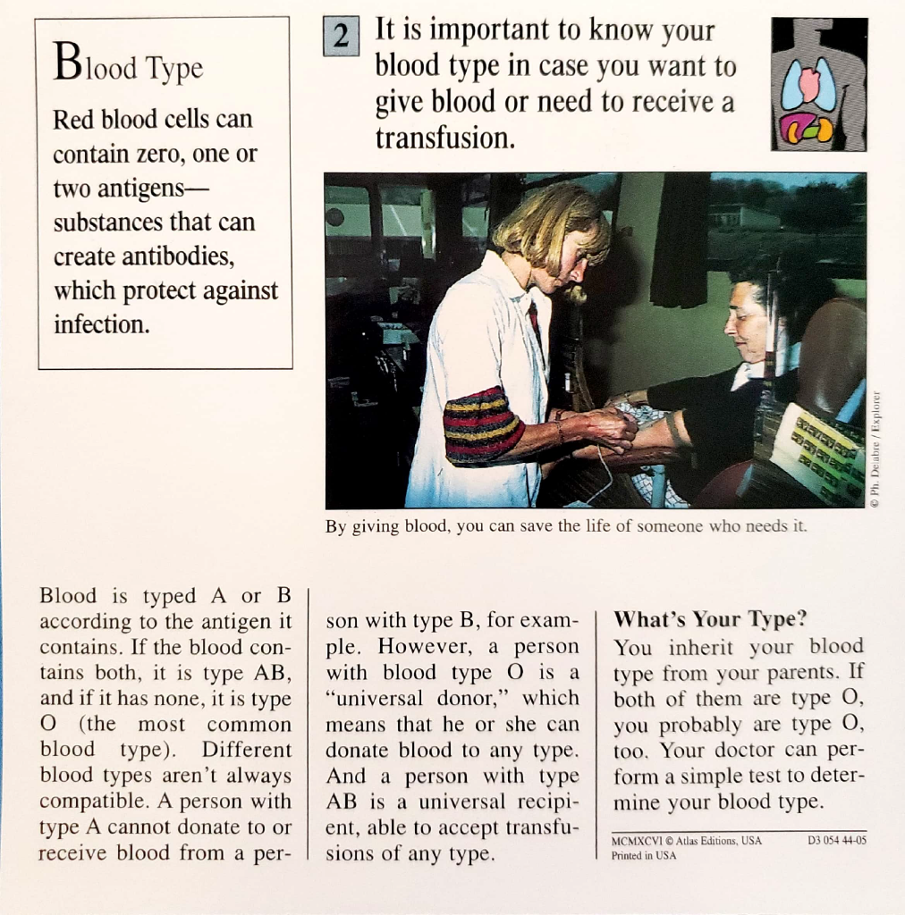 File:Dr mario peach blood type mario quiz card back.png - Super Mario ...
