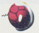 Lazy Shell - Super Mario Wiki, the Mario encyclopedia