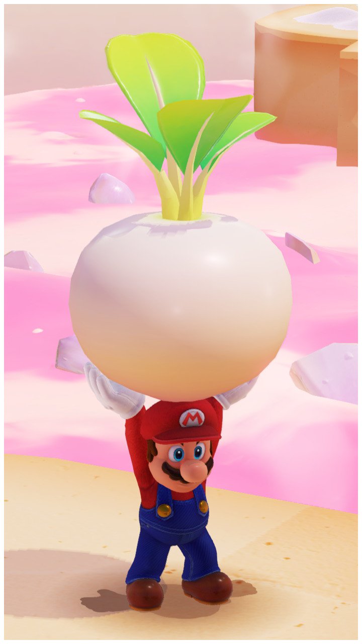 Turnip - Super Mario Wiki, the Mario encyclopedia