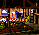 Gallery:DK's Tree House - Super Mario Wiki, the Mario encyclopedia
