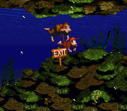 Coral Capers - Super Mario Wiki, the Mario encyclopedia