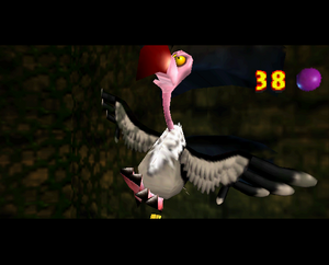 Necky - Super Mario Wiki, the Mario encyclopedia