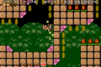 Triangular Block - Super Mario Wiki, the Mario encyclopedia