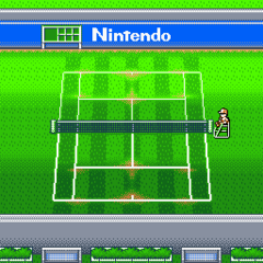 Grass (court) - Super Mario Wiki, the Mario encyclopedia