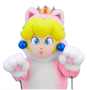 The Cat Mario Show - Super Mario Wiki, the Mario encyclopedia