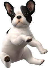 Nintendog - Super Mario Wiki, the Mario encyclopedia