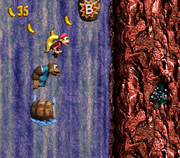 Barrel Drop Bounce - Super Mario Wiki, the Mario encyclopedia