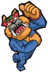 Dribble & Spitz - Super Mario Wiki, the Mario encyclopedia