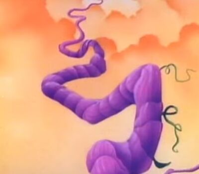 Vine - Super Mario Wiki, the Mario encyclopedia