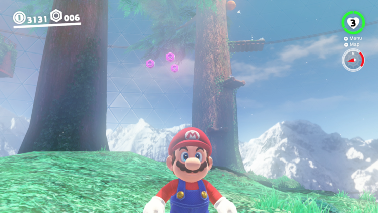 List of regional coins in the Wooded Kingdom - Super Mario Wiki, the ...
