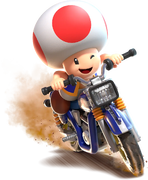Gallery:Toad - Super Mario Wiki, the Mario encyclopedia