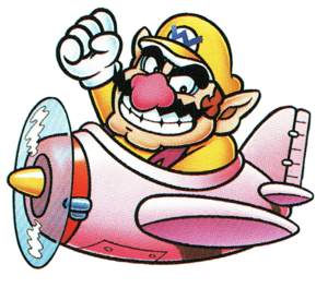 Bulldog - Super Mario Wiki, the Mario encyclopedia