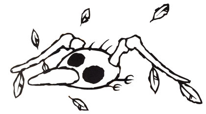 Skeleton Goonie - Super Mario Wiki, the Mario encyclopedia