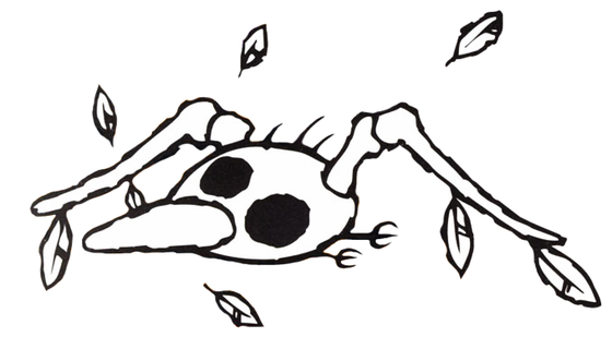 Skeleton Goonie - Super Mario Wiki, the Mario encyclopedia
