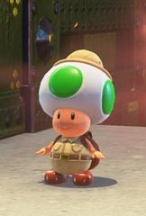 Banktoad - Super Mario Wiki, the Mario encyclopedia