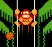 Category:Donkey Kong 3 images - Super Mario Wiki, the Mario encyclopedia
