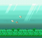 Blurp - Super Mario Wiki, the Mario encyclopedia