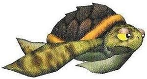 Sea Turtle - Super Mario Wiki, the Mario encyclopedia