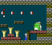 Gallery:Phanto - Super Mario Wiki, the Mario encyclopedia