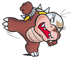 User:Crazy Kong - Super Mario Wiki, the Mario encyclopedia