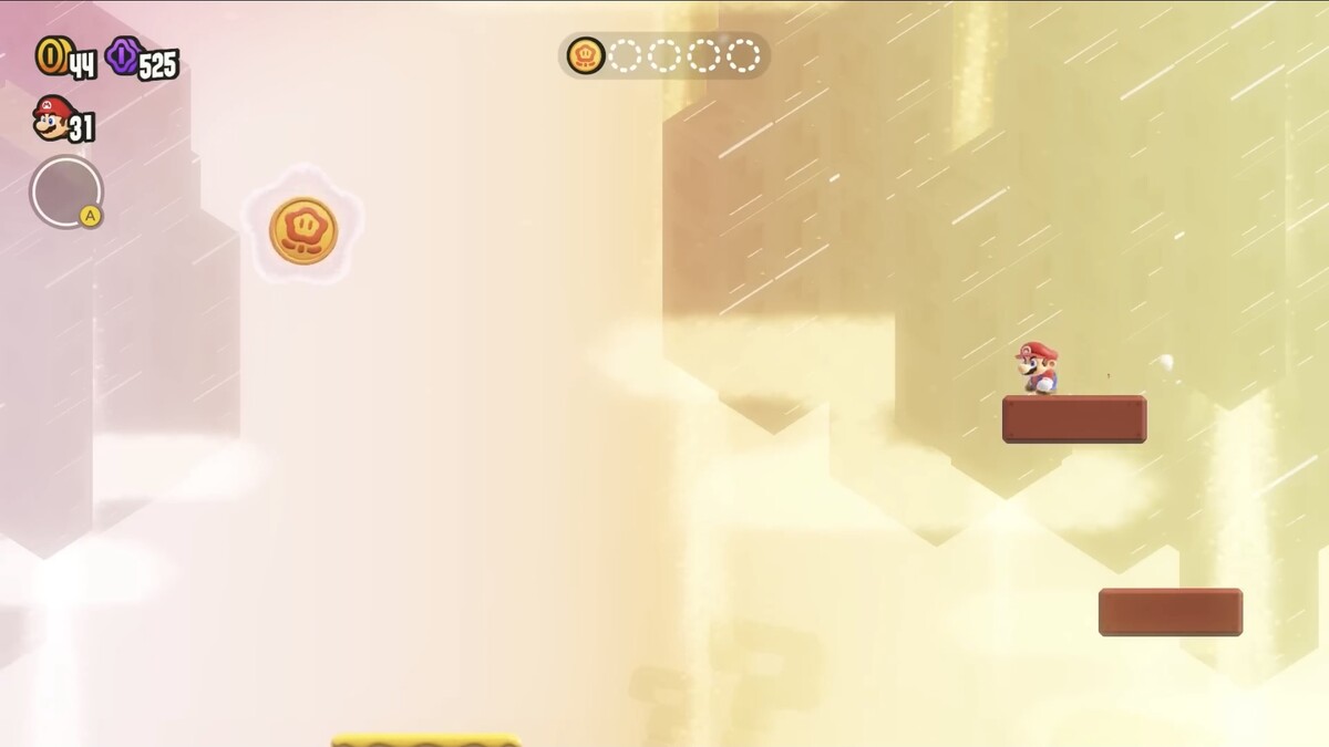 File:SMBW An Empty Park third Wonder Token.jpg - Super Mario Wiki, the ...