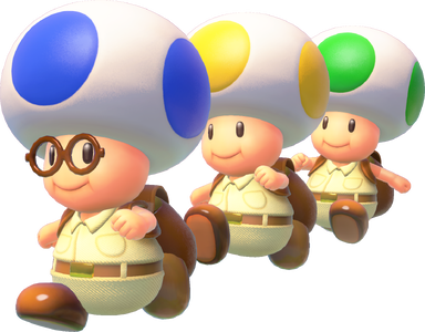 Toad Brigade - Super Mario Wiki, the Mario encyclopedia