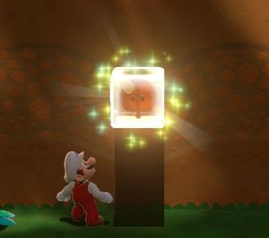 Roulette Block - Super Mario Wiki, the Mario encyclopedia