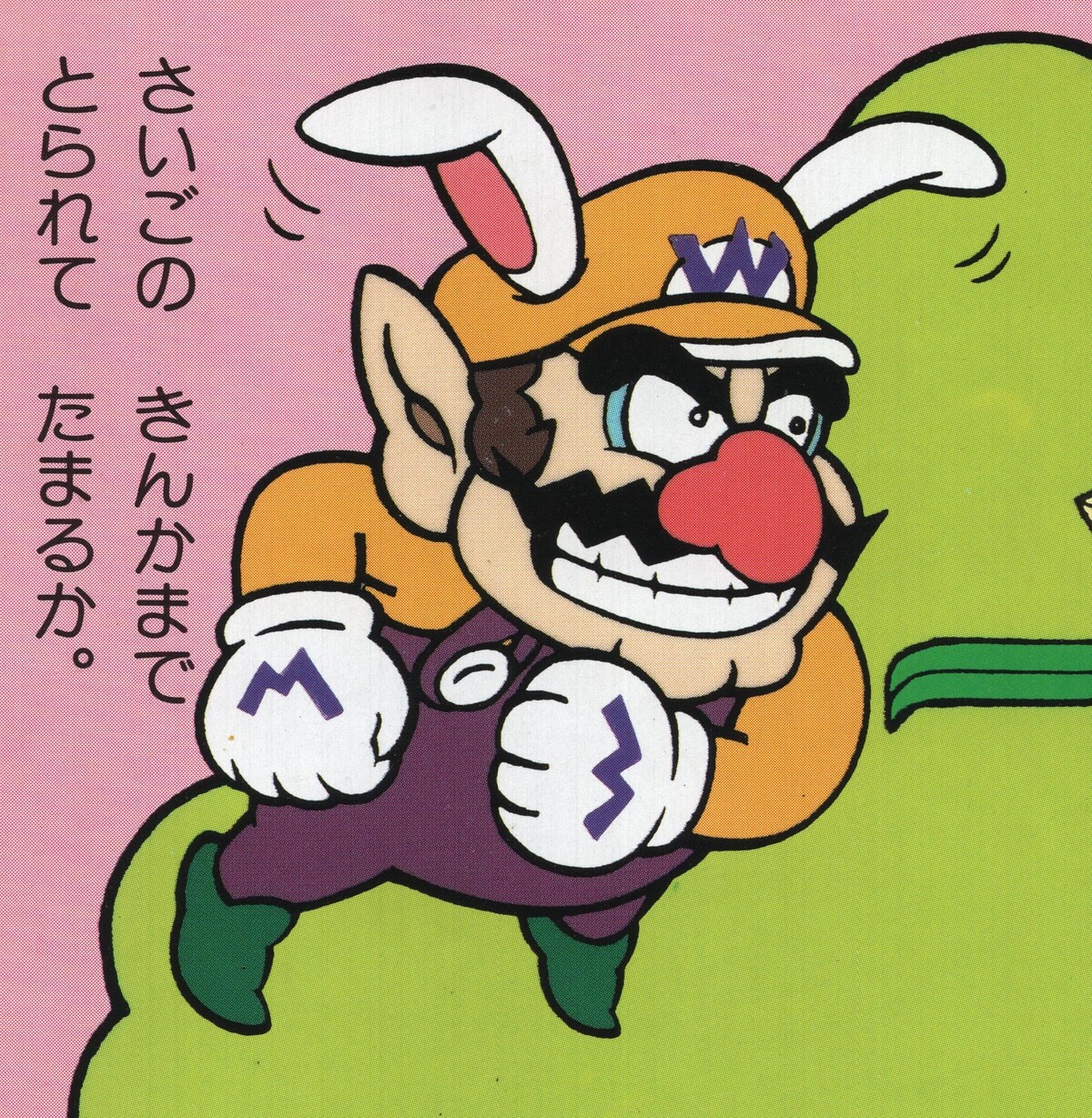 File:BunnyWario.jpg - Super Mario Wiki, the Mario encyclopedia