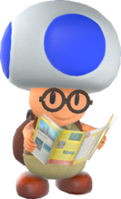 Toad Brigade - Super Mario Wiki, the Mario encyclopedia