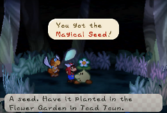 Magical Seed - Super Mario Wiki, the Mario encyclopedia