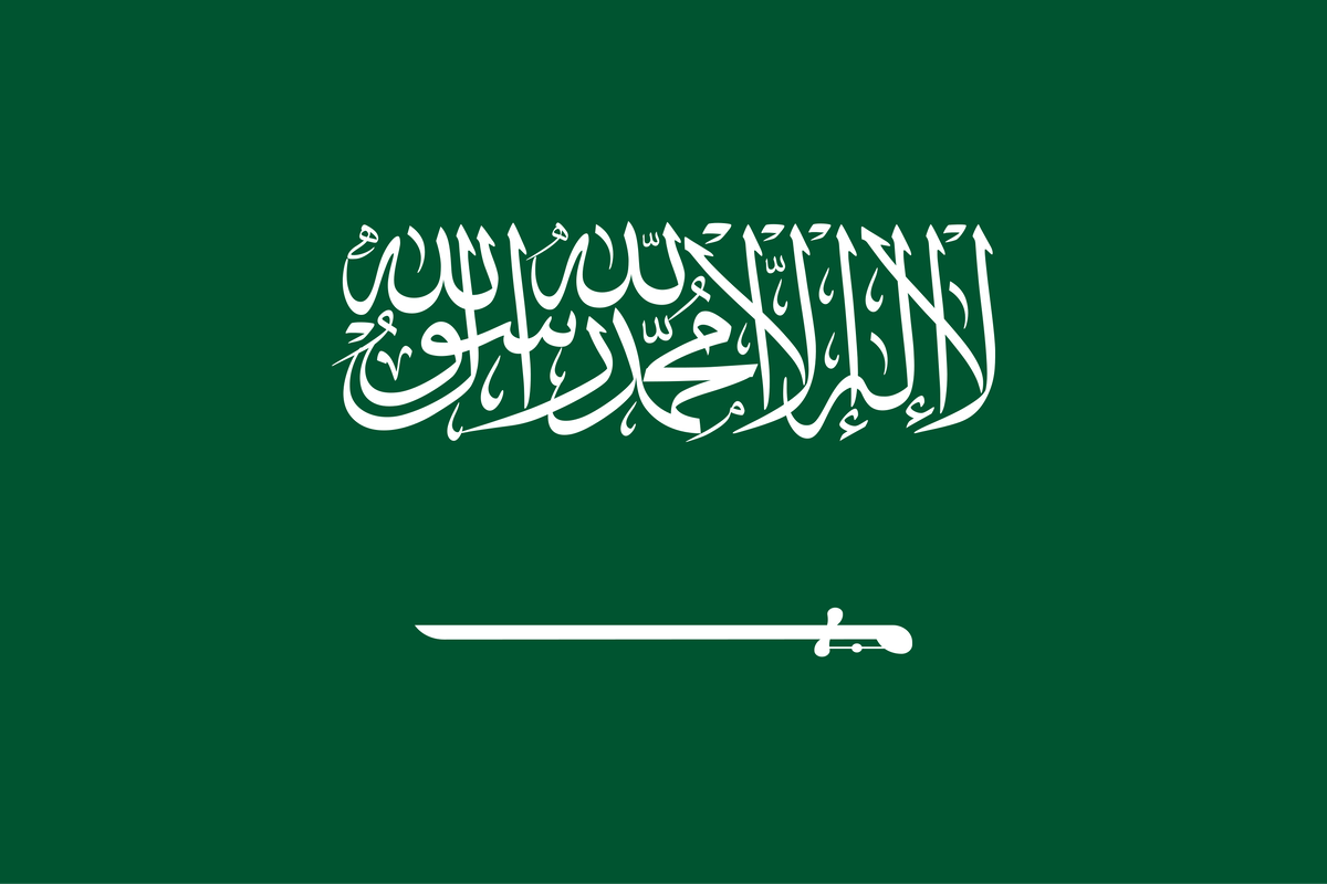 File:Flag of Saudi Arabia.png - Super Mario Wiki, the Mario encyclopedia