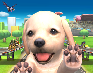 Nintendog - Super Mario Wiki, the Mario encyclopedia