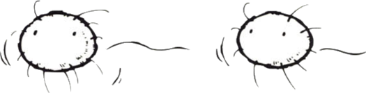 Fuzzy (Super Mario World 2: Yoshi's Island) - Super Mario Wiki, the ...