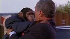 Anthony Scapelli - Super Mario Wiki, the Mario encyclopedia